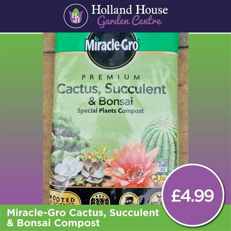 Miracle Gro Cactus Succulent And Bonsai Compost Holland House Garden