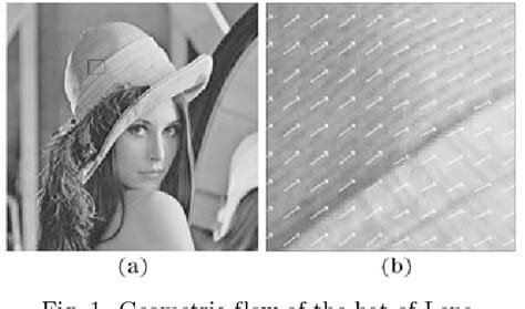 figure 1 from a novel image fusion algorithm based on bandelet