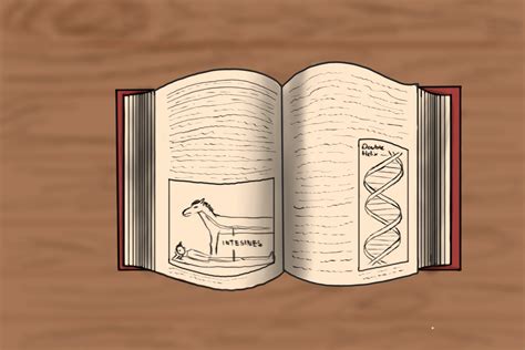 Gabrieljiangcomplete Guide On How To Pirate All Class Materialsct