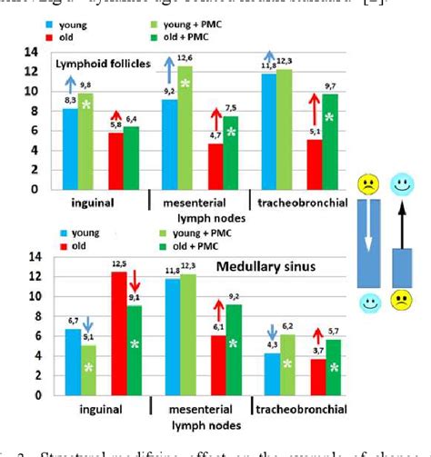 Figure 1 From Principles Of Lymphosanation In Ensuring The Efficiency