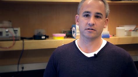 Restriction Enzyme Digest Protocol Cutting Close To Dna End Neb