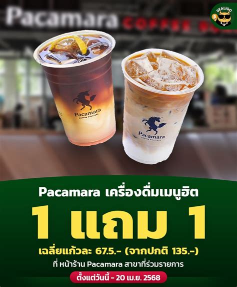 Dealigo 🥤 เสิร์ฟความสดชื่น Pacamara ซื้อ 1 แถม 1 เฉลี่ยแก้วละ 675 เท่านั้นนน 🥳 Pacamara