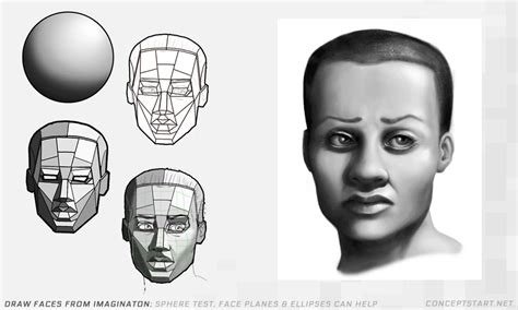 Drawing And Shading The Human Face