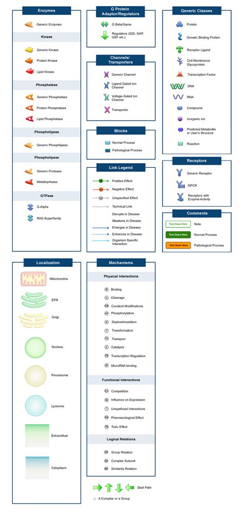 Immune Response Cd16 Signaling In Nk Cells Pathway Map Primepcr
