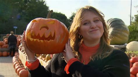 Sex Fragen Wonach Die Deutschen Am Häufigten Googeln