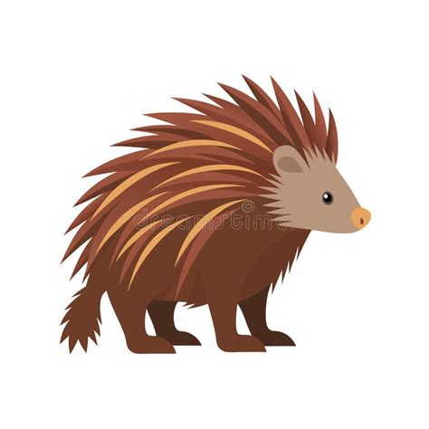 Cartoon Porcupine Character Stock Illustrations 2324 Cartoon