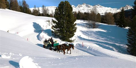 Carriage Rides In St Moritz Romantic Tours Through The Alps
