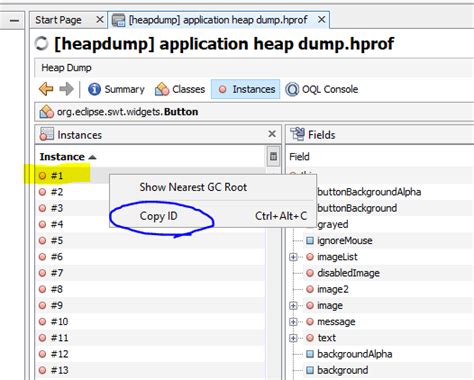 Java Find 2 Equals Objects In Different Heap Dump Using Visualvm