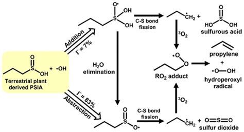 由 Oh 自由基引发的丙亚磺酸的大气氧化：反应机理、能量学、速率系数和大气影响acs Earth And Space Chemistry X Mol