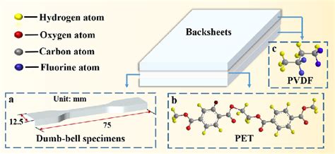 A Dumb Bell Specimens Of Polyethylene Terephthalate Pet Films B