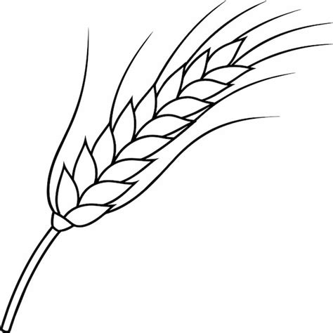 A Drawing Of A Wheat Head With A Drawing Of A Wheat Premium Ai Generated Vector