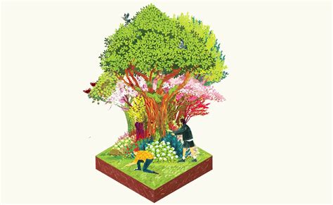 Tiny Forests A Japanese Originated India Developed Nature Based