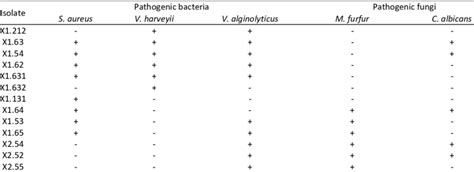Antibacterial And Antifungal Qualitative Test Download Scientific Diagram