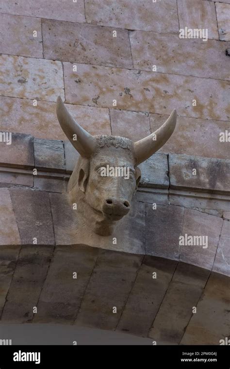 Salamanca Spain 05 12 2021 Detailed View At The Bull Head