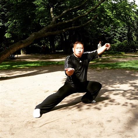 Mestre Chen Yingjun Chen Yingjun Taijiquan Rio Ottawa