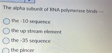 Answered The Alpha Subunit Of Rna Polymerase Binds 100 The 10 Kunduz