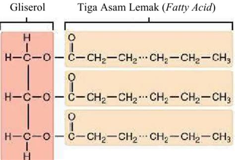 Perbandingan Puasa 8 Jam Dan 10 Jam Terhadap Hasil Pemeriksaan