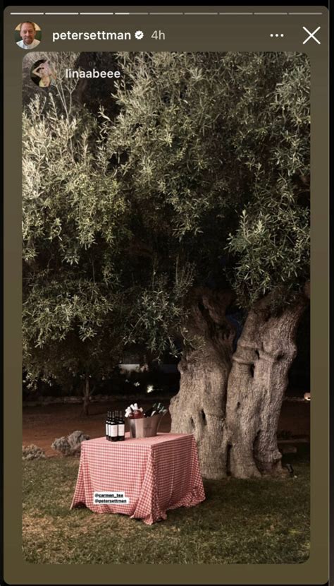 Peter Settman Ter Sig Alla Bilder Från Bröllopet Här Hänt