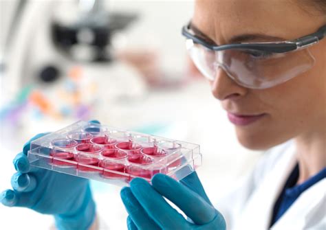 Stem Cell Pengertian Jenis And Cara Kerja Dalam Dunia Medis