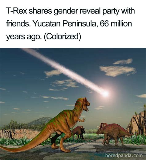 45 Of The Most Savage ‘gender Reveal Party Memes After People Learned