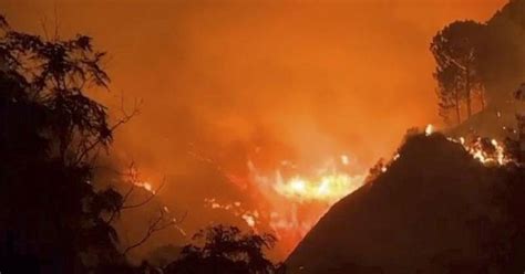 Three Dead As Sicily Counts Cost Of Devastating Fires The Courier