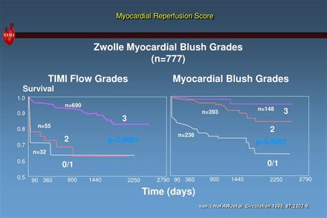 Ppt Beyond Timi 3 Flow Powerpoint Presentation Free Download Id 435334