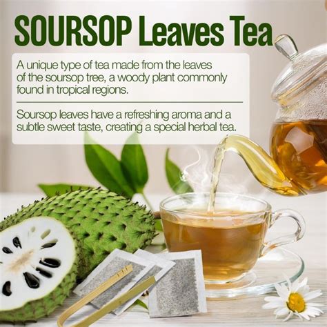 18 Refreshing Soursop Recipes Tropical Inspired Recipe 4 Peace