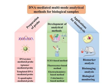 Recent Advances In The Dna Mediated Multi Mode Analytical Methods For