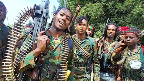 Jaal Leencoo Luuccooll Gumaan Dhiigaa Dhiiga Sirba Haaraa Afaan