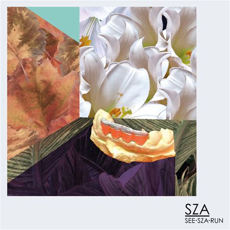 New Music Sza Releases Debut Ep See Sza Run New R