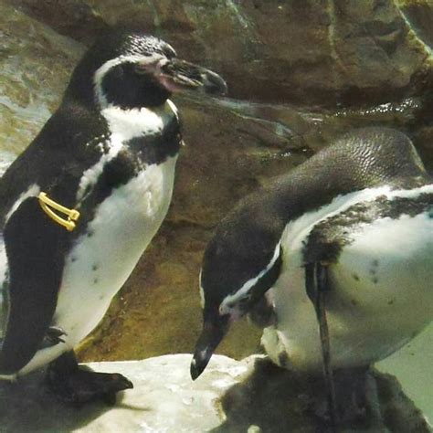 Miki Kitamura A Treeoffice Mikik8008 • Threads Say More