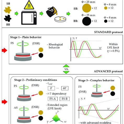 Summary Of The Experimental Plan Stages Download Scientific Diagram
