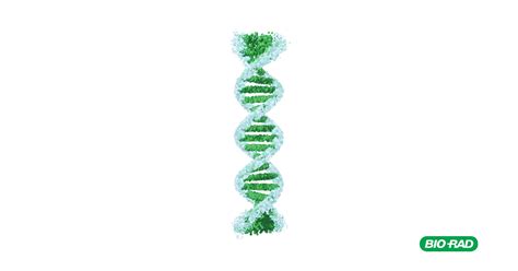 Bio Rad Laboratories On Linkedin Get Equipped To Detect Any Of Over 4