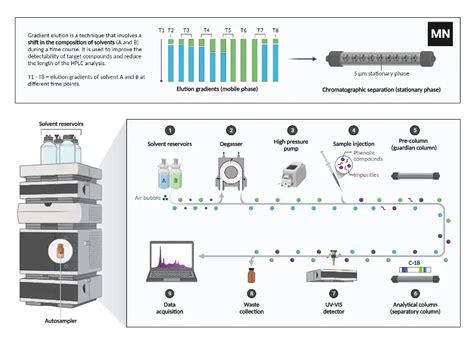 Types Of Chromatography Definition Principle Steps Uses Biology