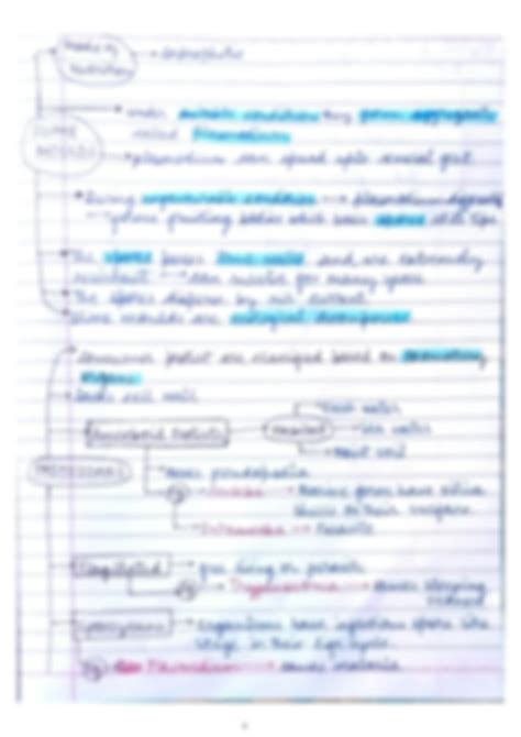 Solution Kingdom Protista Biological Classification Studypool