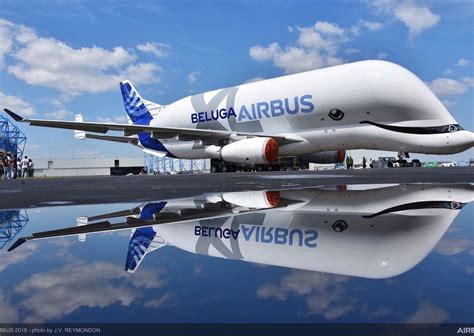Airbus New Plane Looks Like A Smiley Beluga Whale