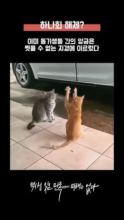 서울의봄 전두환 주축인 막강한 하나회 해체는 어떻게 되었을까 Youtube