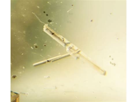 E Rocks Mineral Auctions