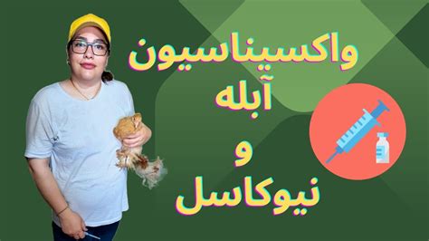 واکسن نیوکاسل و واکسن آبله طیور طریقه زدن واکسن خوراکی و واکسن مایه کوبی به پرندگان مزرعه