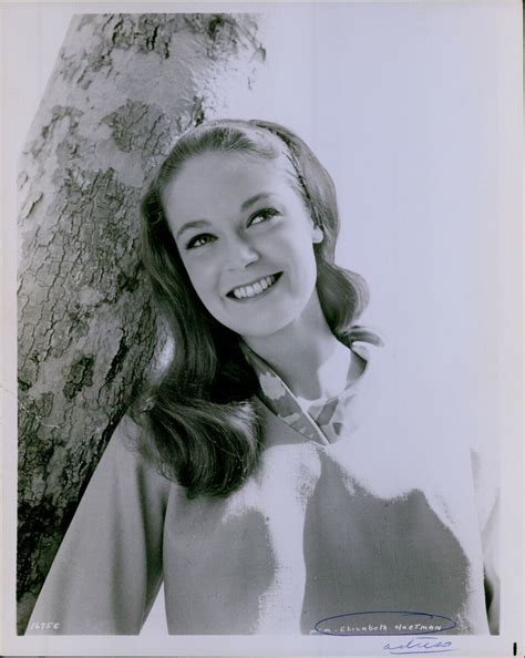 Elizabeth Hartman Arctic Feathers Pattern Elizabeth Hartman