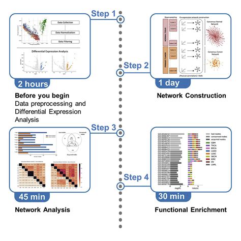 Cell Press Star Protocols