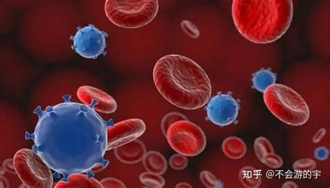 弥散性血管内凝血（dic）与输血 知乎