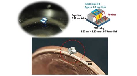 Optical Phased Array Technology On Chip At Near Infrared And Blue