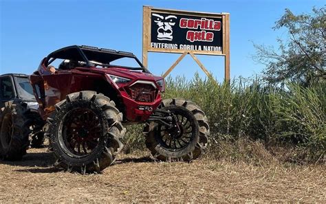 Gorilla Utv 300