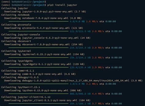 在 Debian 12 上安装 Jupyterlab 指南