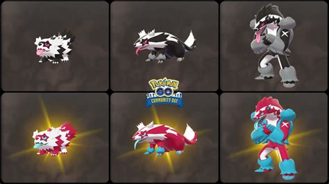Pokemon Go Community Day Evolve Normalandshiny Zigzagoon Into Linoone And Obstagoon Exmove