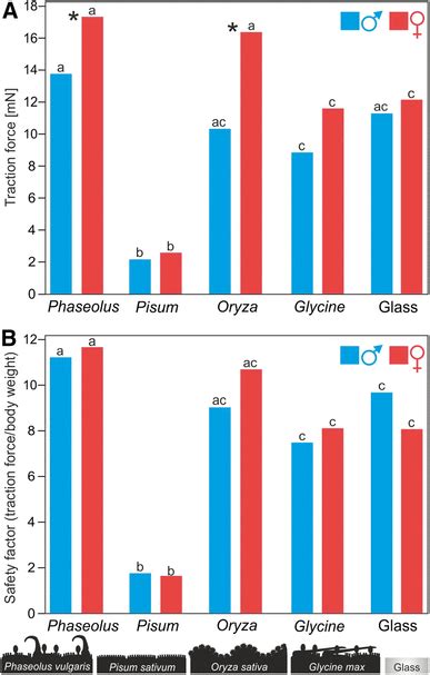 Grouped Bar Charts Of Traction Forces A And Safety Factors B