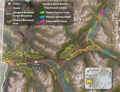 Reducing Spruce Beetle Damage On The Chugach National Forest Alaska