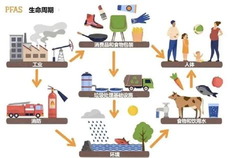 这种化学品，缺料危机至今无解 美国 新浪新闻