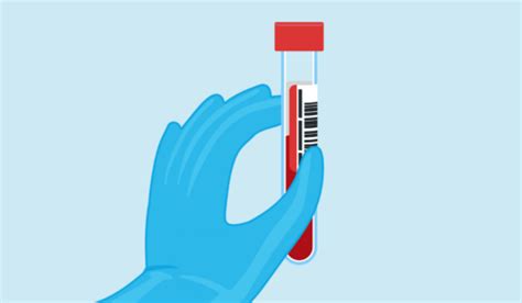 Morphology What Is Indications Contradictions And Preparations